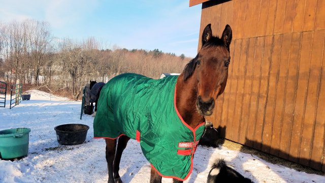 The Sunday Review: Rambo Wash – The Green Horseman