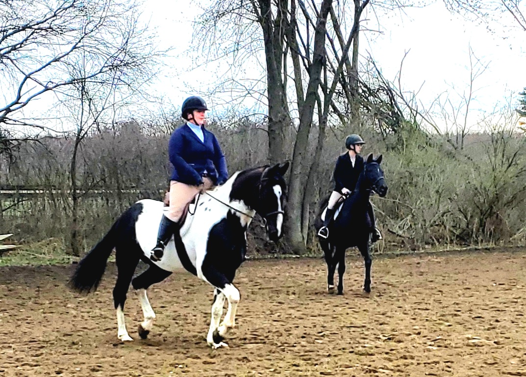 The Sunday Review: Ride Big: The Ultimate Guide to Building Equestrian ...