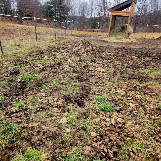 The Sunday Review: Greystone Paddock Vac – The Green Horseman